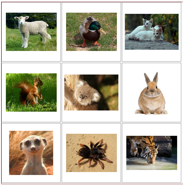 Html-css-8-Interface graphique